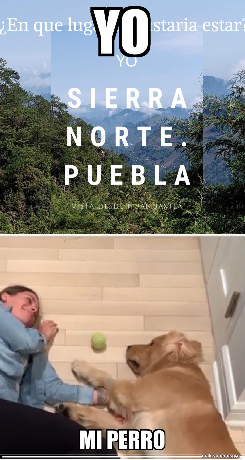 yo mi perro Meme Generator