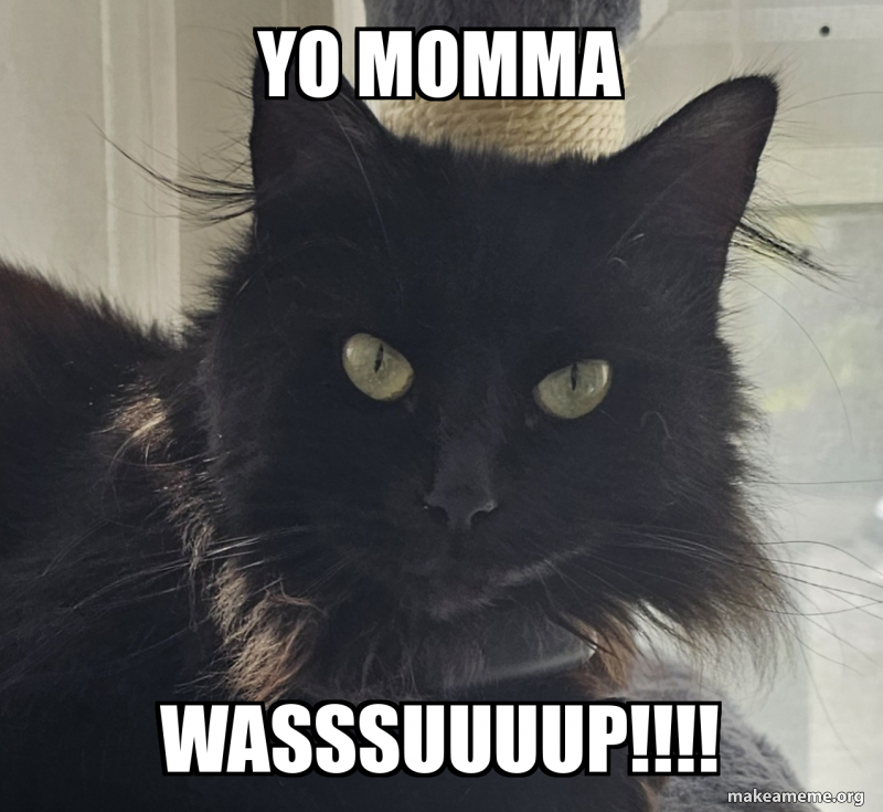 Yo momma Wasssuuuup!!!! Meme Generator
