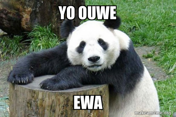 yo ouwe ewa - Confession Panda Meme Generator