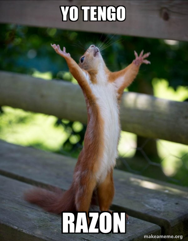yo tengo razon - Happy Squirrel Meme Generator