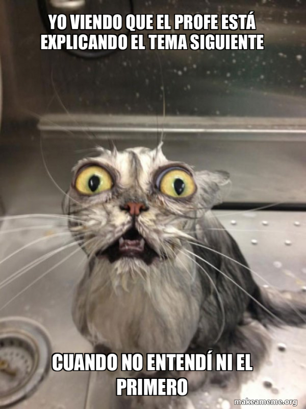 Yo viendo que el profe está explicando el tema siguiente Cuando no ...