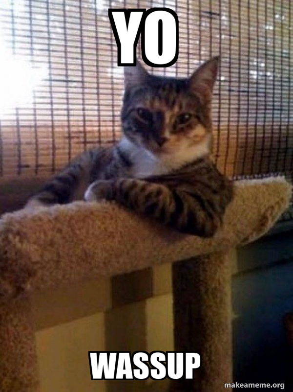 Yo Wassup - The Most Interesting Cat in the World Meme Generator