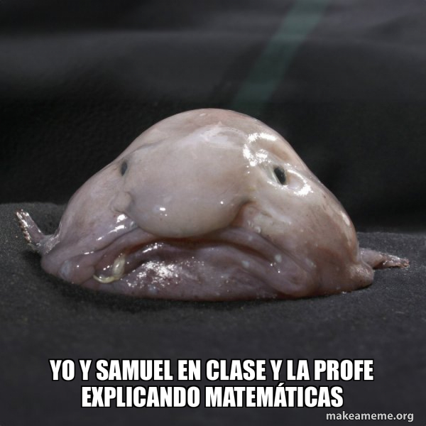 Yo y samuel en clase y la profe explicando matemáticas - Blobfish Meme ...