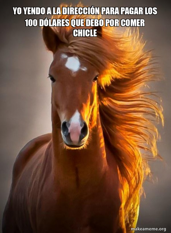 Yo yendo a la dirección para pagar los 100 dólares que debo por comer ...