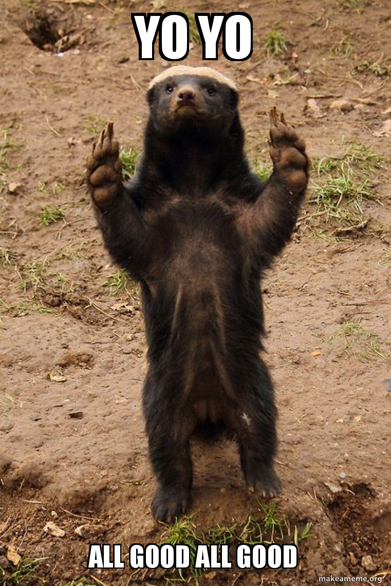 YO YO ALL GOOD ALL GOOD Meme Generator