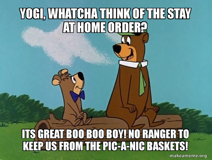 Yogi, whaTcha think of the stay at home order? Its great BOo boo boy ...