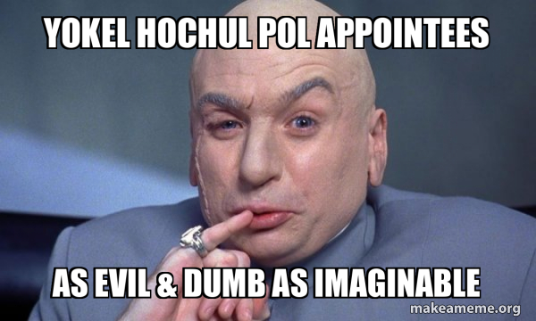yokel hochul pol appointees as evil & dumb as imaginable - You Complete ...