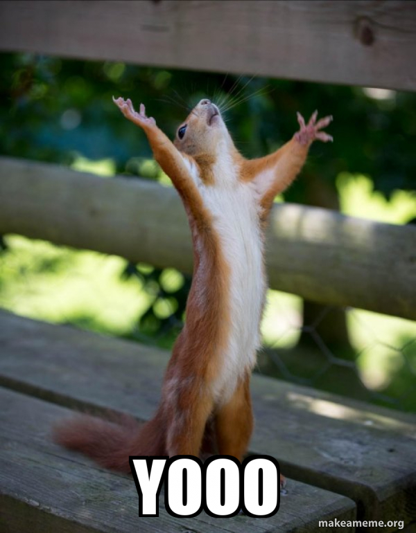 Yooo - Happy Squirrel Meme Generator