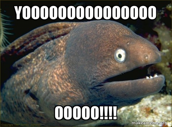 YOOOOOOOOOOOOOOO OOOOO!!!! - Bad Joke Eel Meme Generator