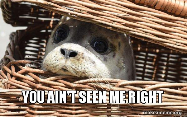 You ain't seen me right - Impending Doom Seal Meme Generator