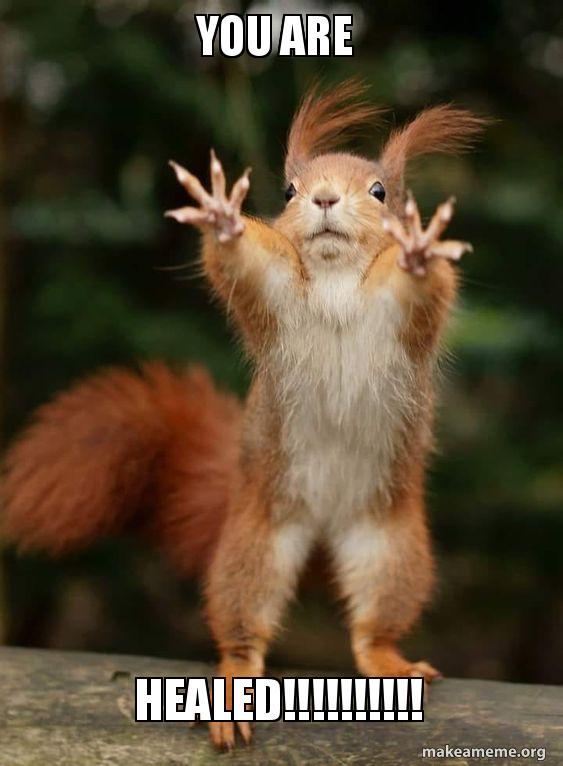YOU ARE HEALED!!!!!!!!!! - POWER SQUIRREL Meme Generator