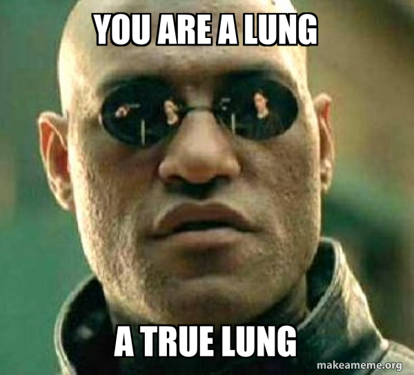 You are a lung A true lung - Matrix Morpheus Meme Generator