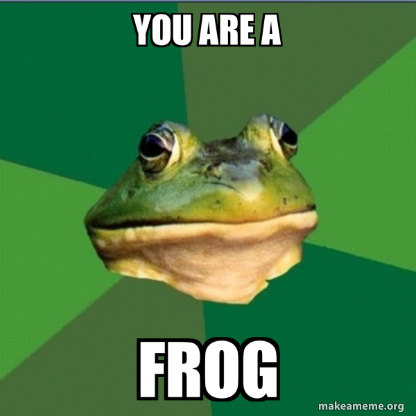 you are a frog - Foul Bachelor Frog Meme Generator
