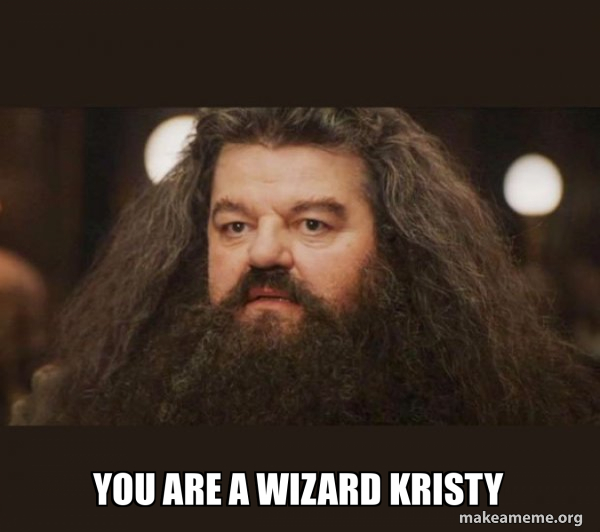 You are a wizard Kristy - Hagrid - I should not have said that Meme ...