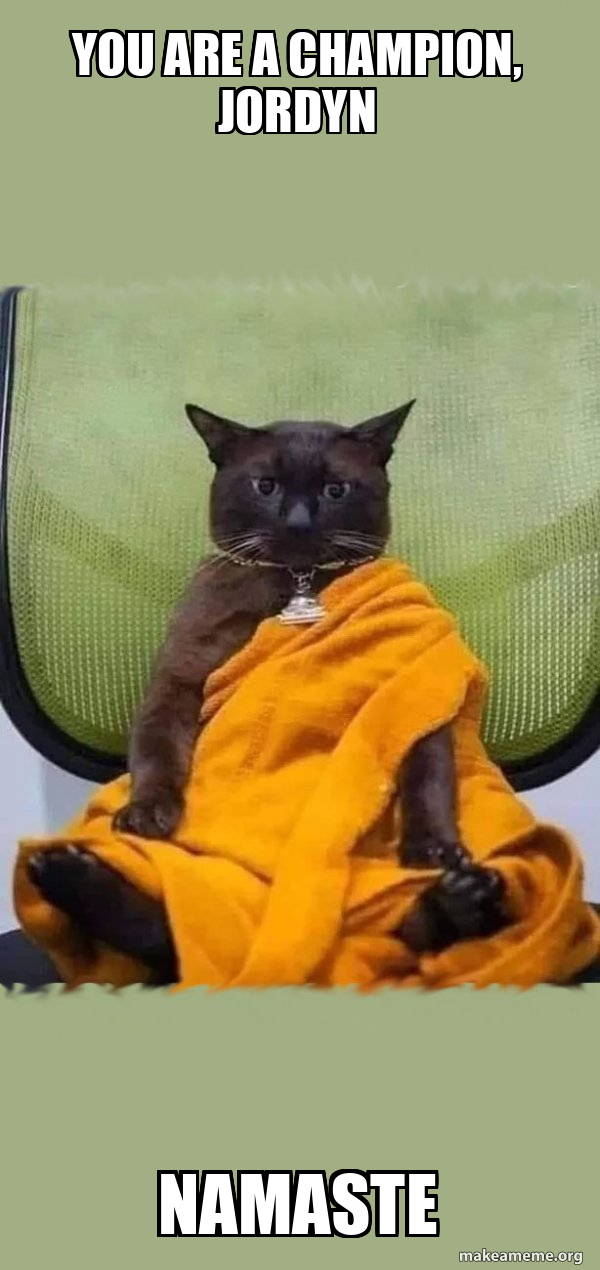 You are a champion, Jordyn namaste - Zen Cat Meme Generator