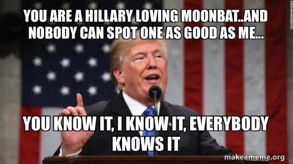 You are a Hillary loving moonbat..and nobody can spot one as good as me ...