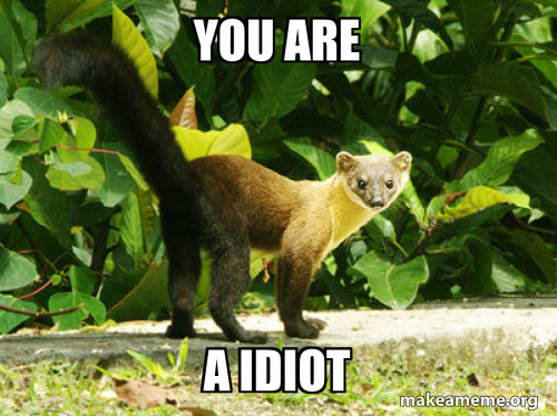 You are A IDIOT Meme Generator