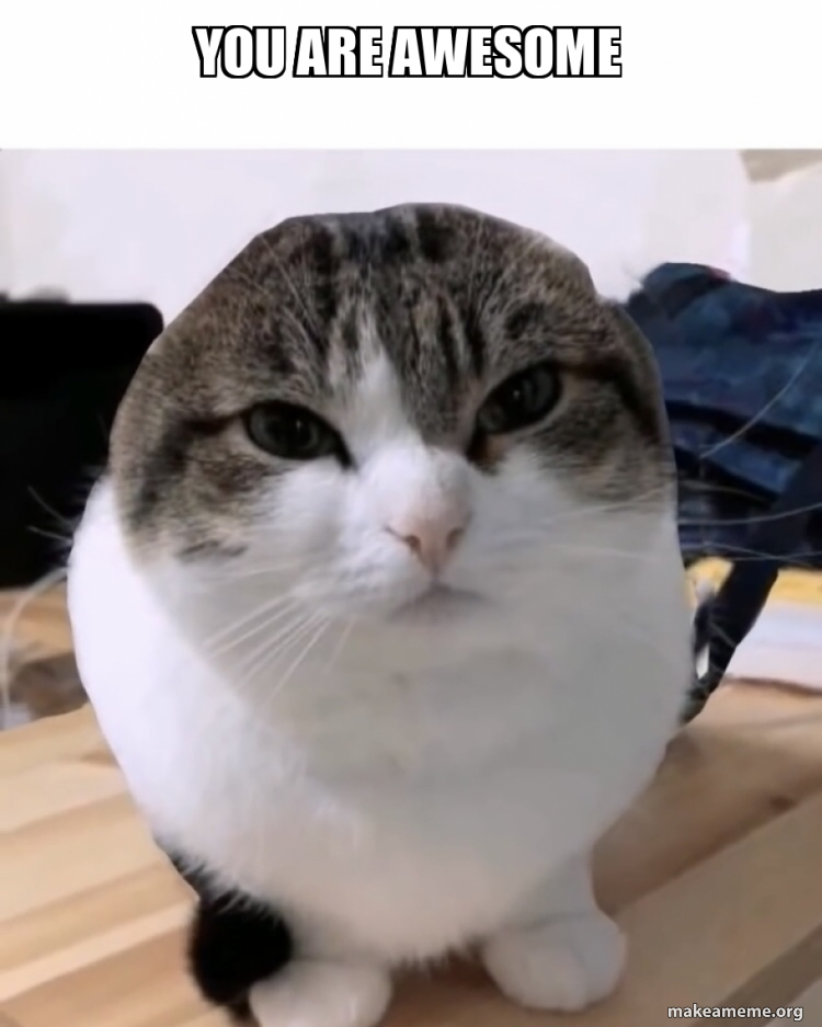 You are awesome Meme Generator