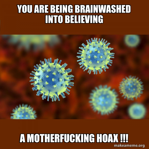 YOU ARE BEING BRAINWASHED INTO BELIEVING A MOTHERFUCKING HOAX ...