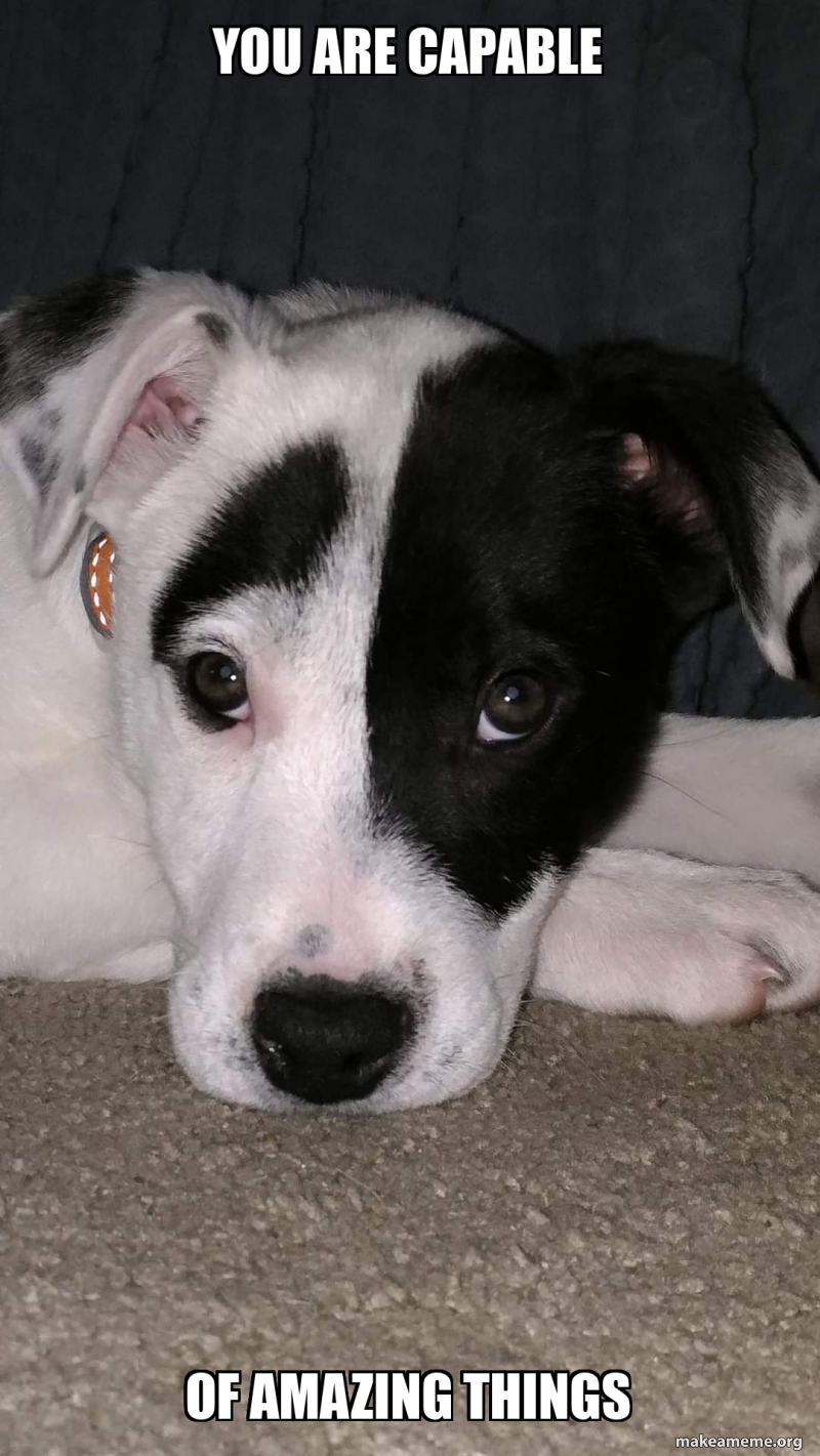 you are capable of amazing things Meme Generator