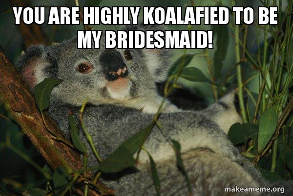 Koalafication Memes Koalafication Merch & Gifts For Sale | Redbubble