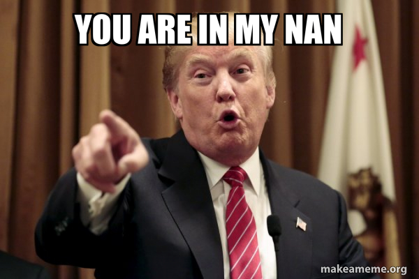 YOU ARE IN MY NAN - Donald Trump Says Meme Generator