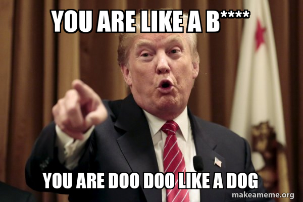 you are like a b**** you are doo doo like a dog - Donald Trump Says ...