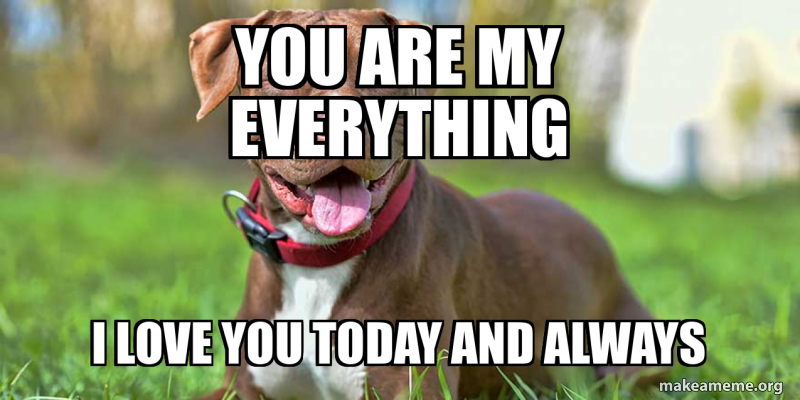 you are my everything i love you today and always - sweetpittie Meme ...