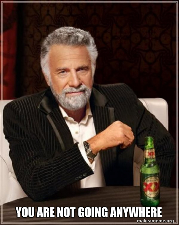 you are not going anywhere - The Most Interesting Man in the World Meme Generator