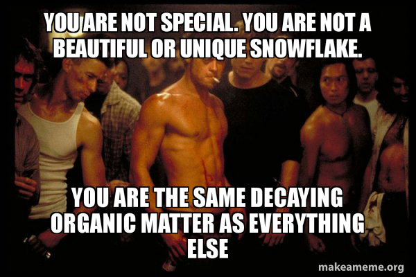 Special Snowflake Memes Special Snowflake Silly Funny Winter Christmas