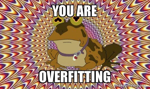YOU ARE OVERFITTING - Hypnotoad Meme Generator