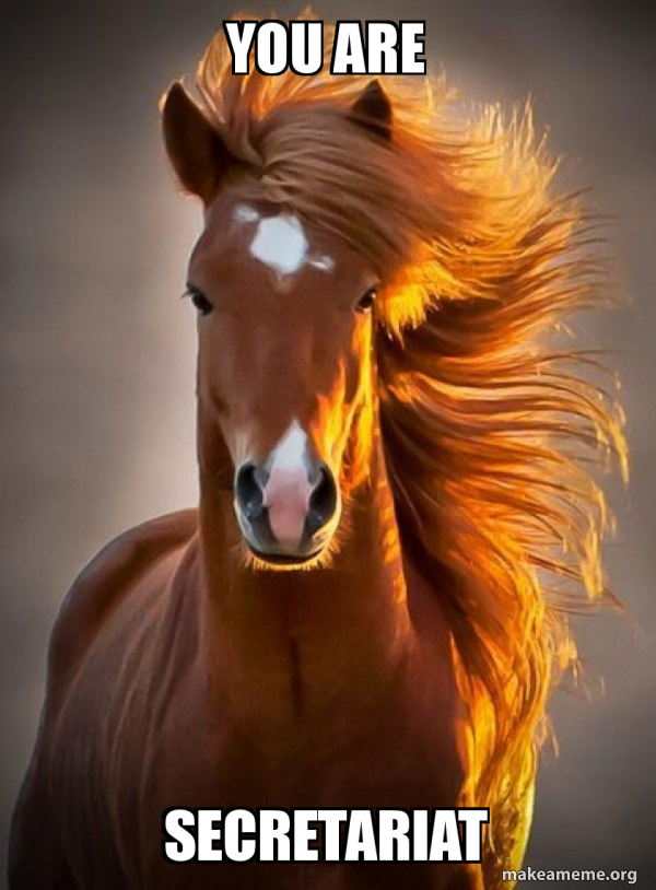 You are Secretariat - Ridiculously photogenic horse Meme Generator
