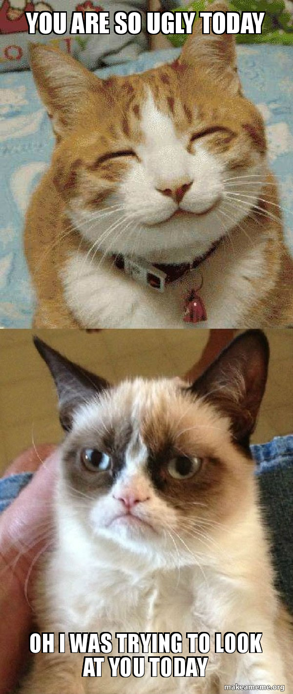 You are so Ugly today Oh I was trying to look at you today - Grumpy Cat ...