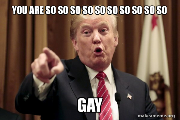 YOU ARE SO SO SO SO SO SO SO SO SO SO Gay - Donald Trump Says Meme ...