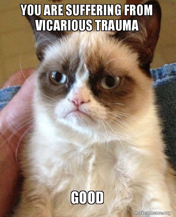 You are suffering from vicarious trauma Good - Grumpy Cat Meme Generator