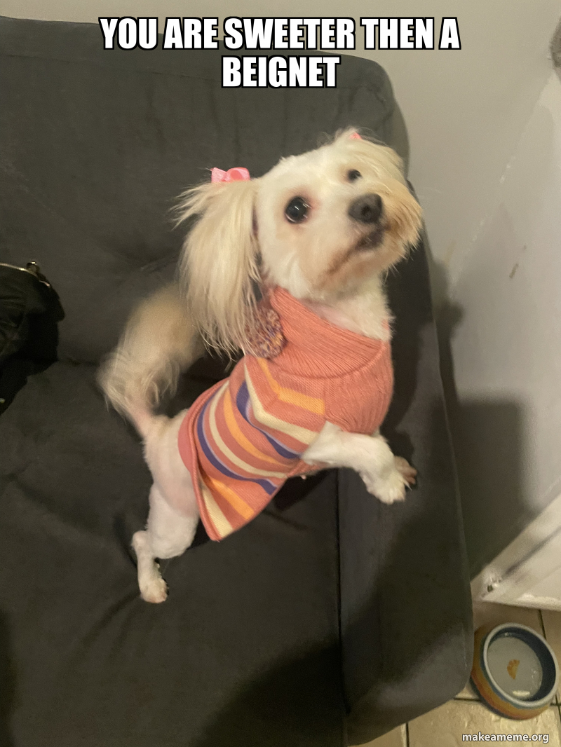 You are sweeter then a beignet Meme Generator