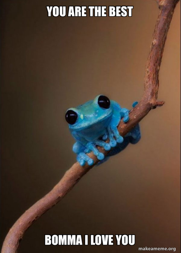 You are the best Bomma i love you - Small Fact Frog Meme Generator