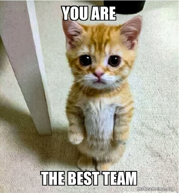 You Are Awesome Cat Meme Cat Memes: 23 Motivational Kitties For Some