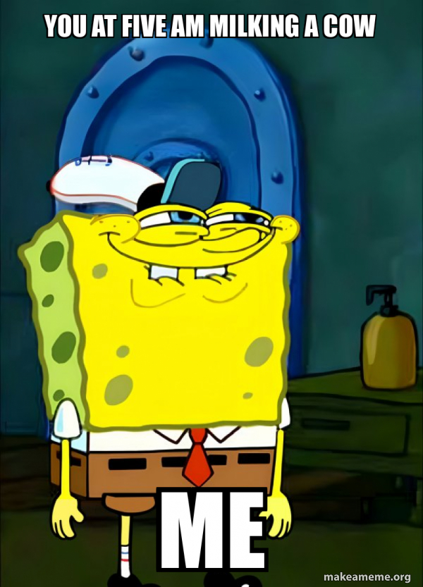 you at five am milking a cow me - SpongeBob Grin Meme Generator