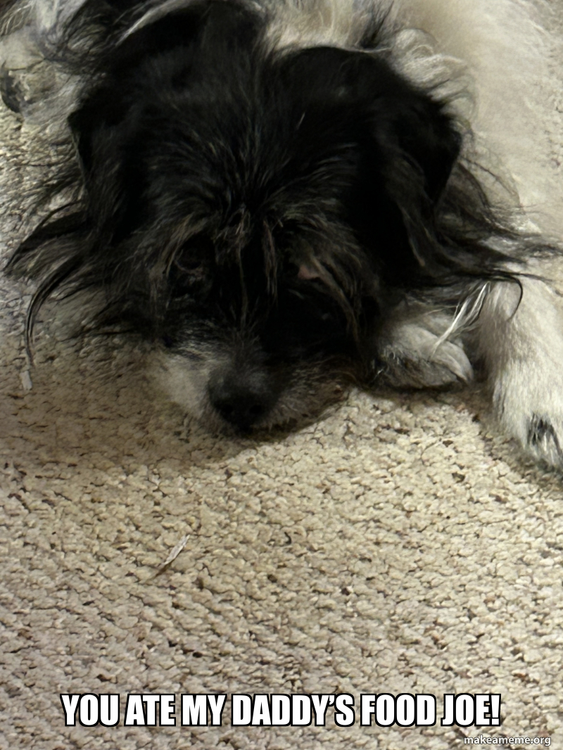 You ate my daddy’s food Joe! Meme Generator