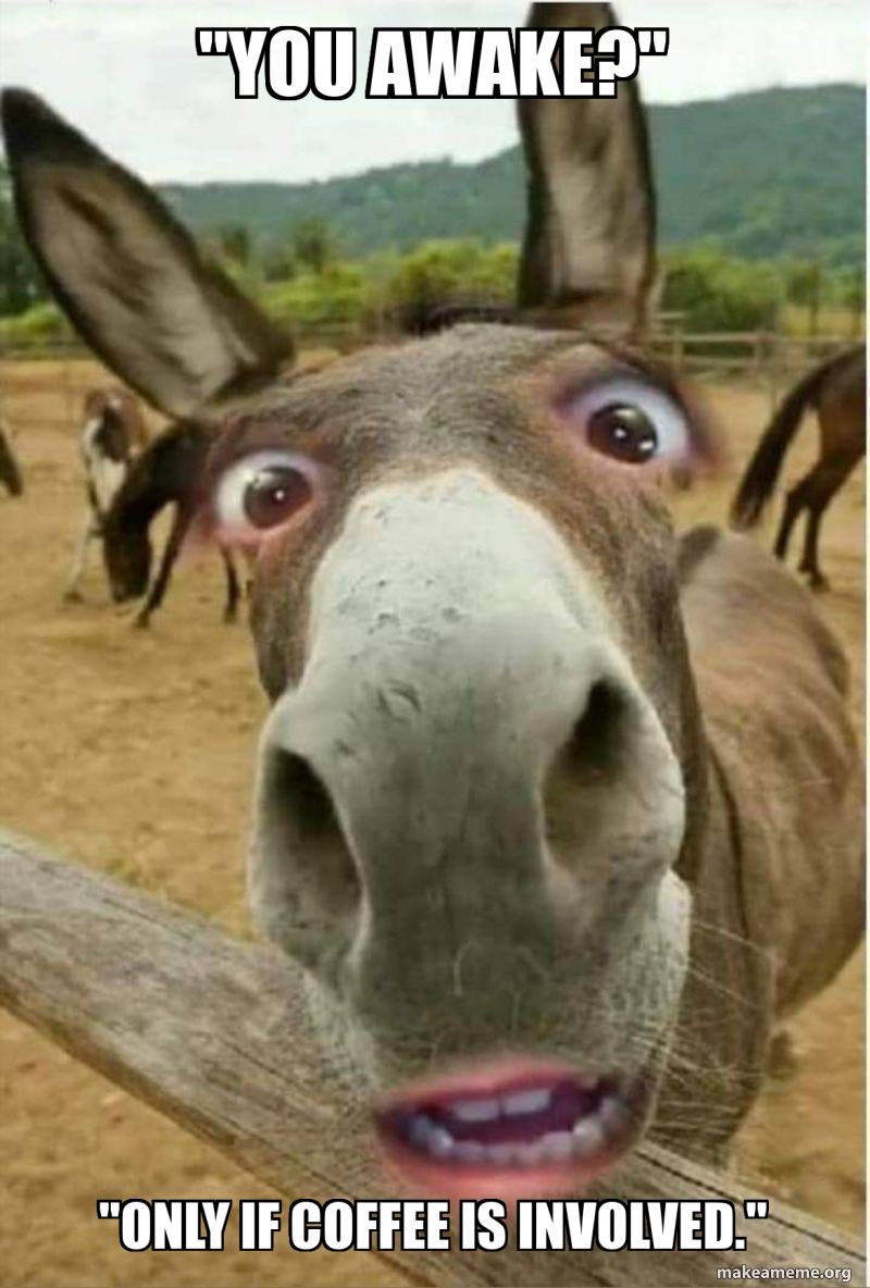 "You awake?" "Only if coffee is involved." Meme Generator