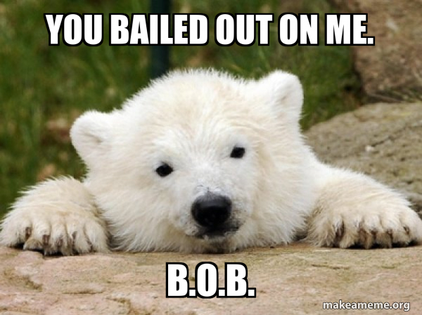 You bailed out on me. B.O.B. - Popular Opinion Bear Meme Generator