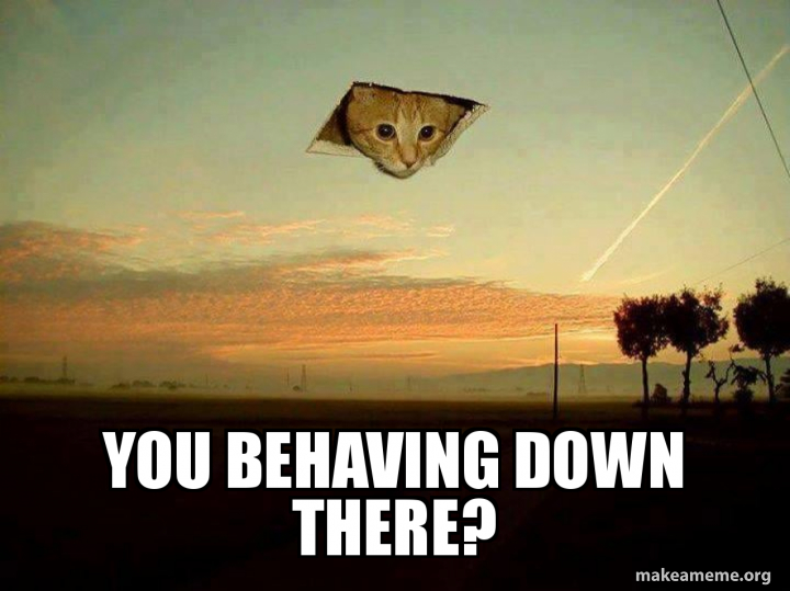 you behaving down there? Meme Generator