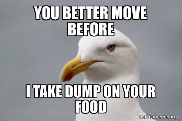 You better move before I take dump on your food - Stuff That Didn't ...