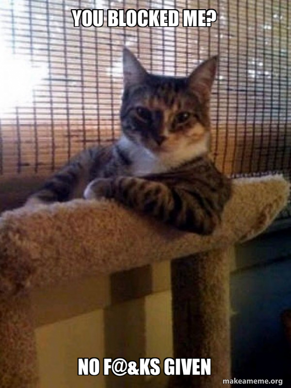 You blocked me? No f@&ks given - The Most Interesting Cat in the World ...