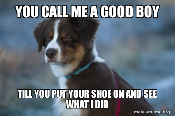 you call me a good boy till you put your shoe on and see what i did ...