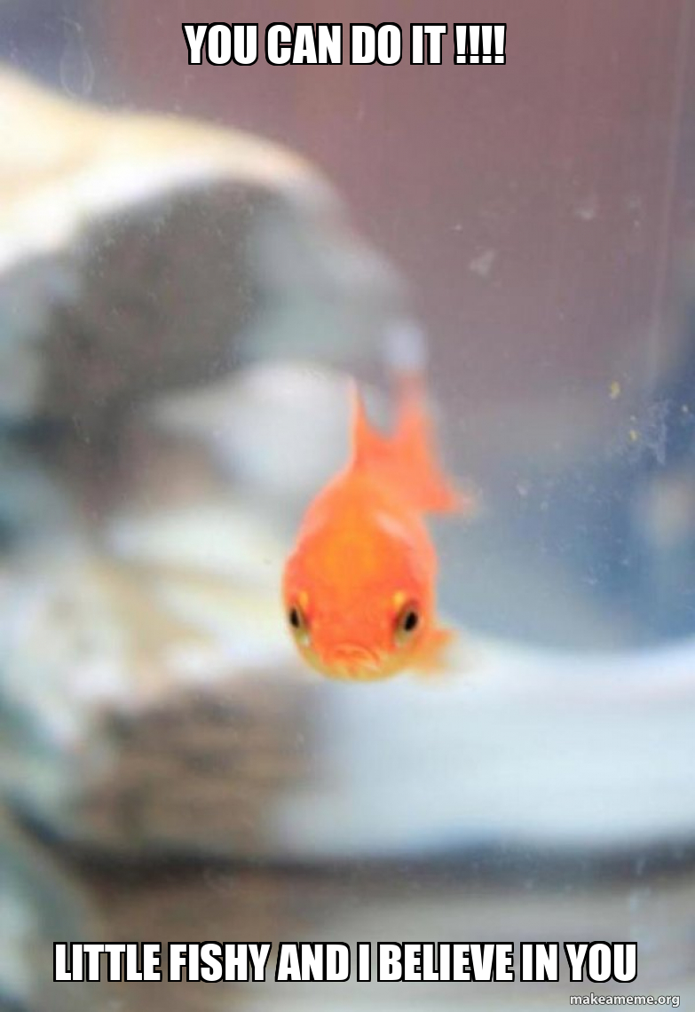YOU CAN DO IT !!!! Little fishy and I believe in you - Grumpy Fish Meme ...