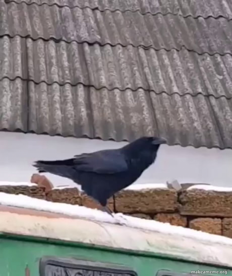 - You can Meme Generator