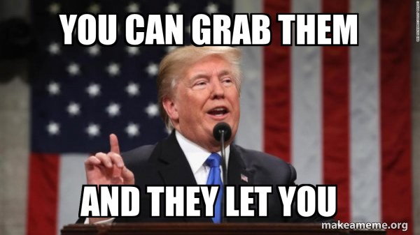 You can grab them AND THEY LET YOU - Donald Trump Meme Generator