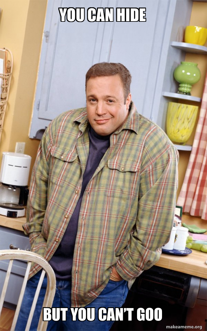You can hide But you can’t goo - Kevin James Meme Generator